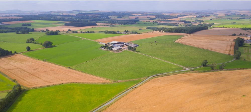 Agency | Aberdeen & Northern Estates