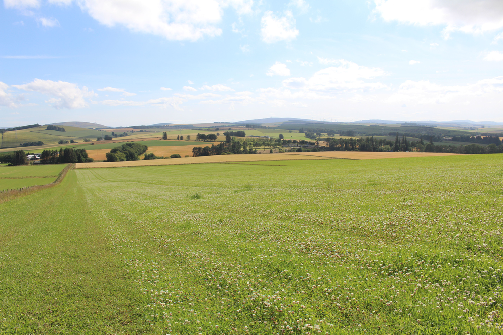 Properties | Aberdeen & Northern Estates