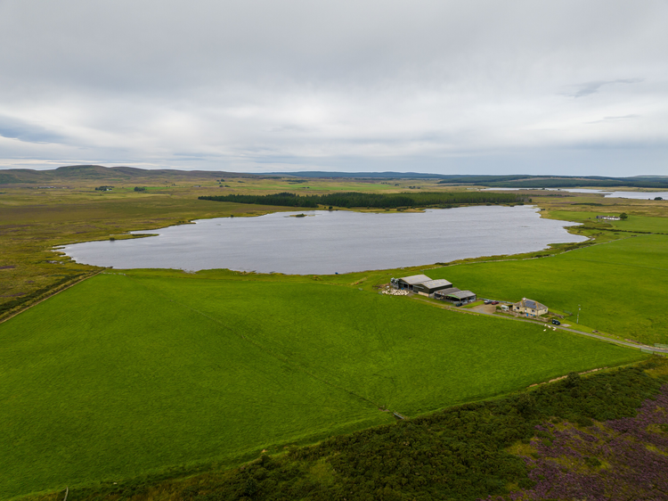 Farm | Aberdeen & Northern Estates