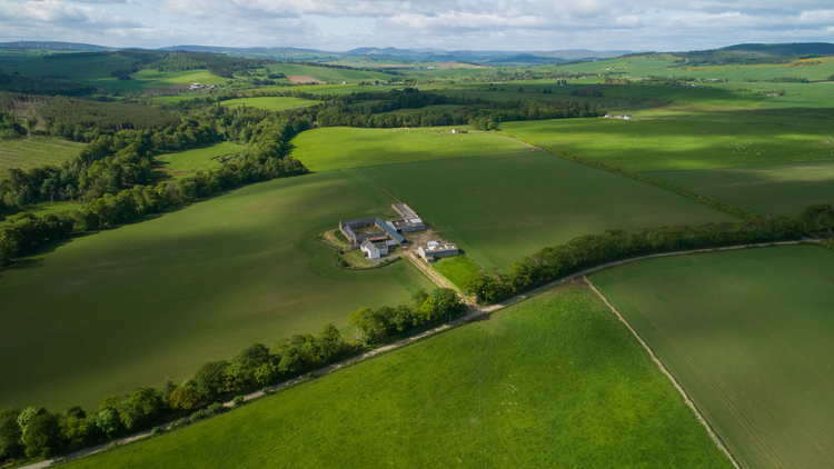 We're a highly experienced and multi-disciplined chartered rural ...