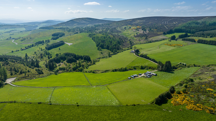 Farm | Aberdeen & Northern Estates